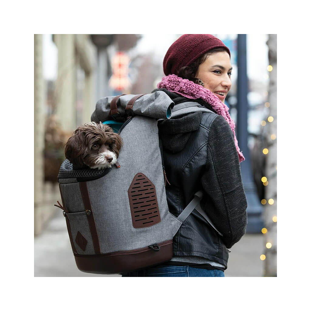 Kurgo K9 verstärkter Rucksack für Hunde grau | bei PITUPITA, 114,95