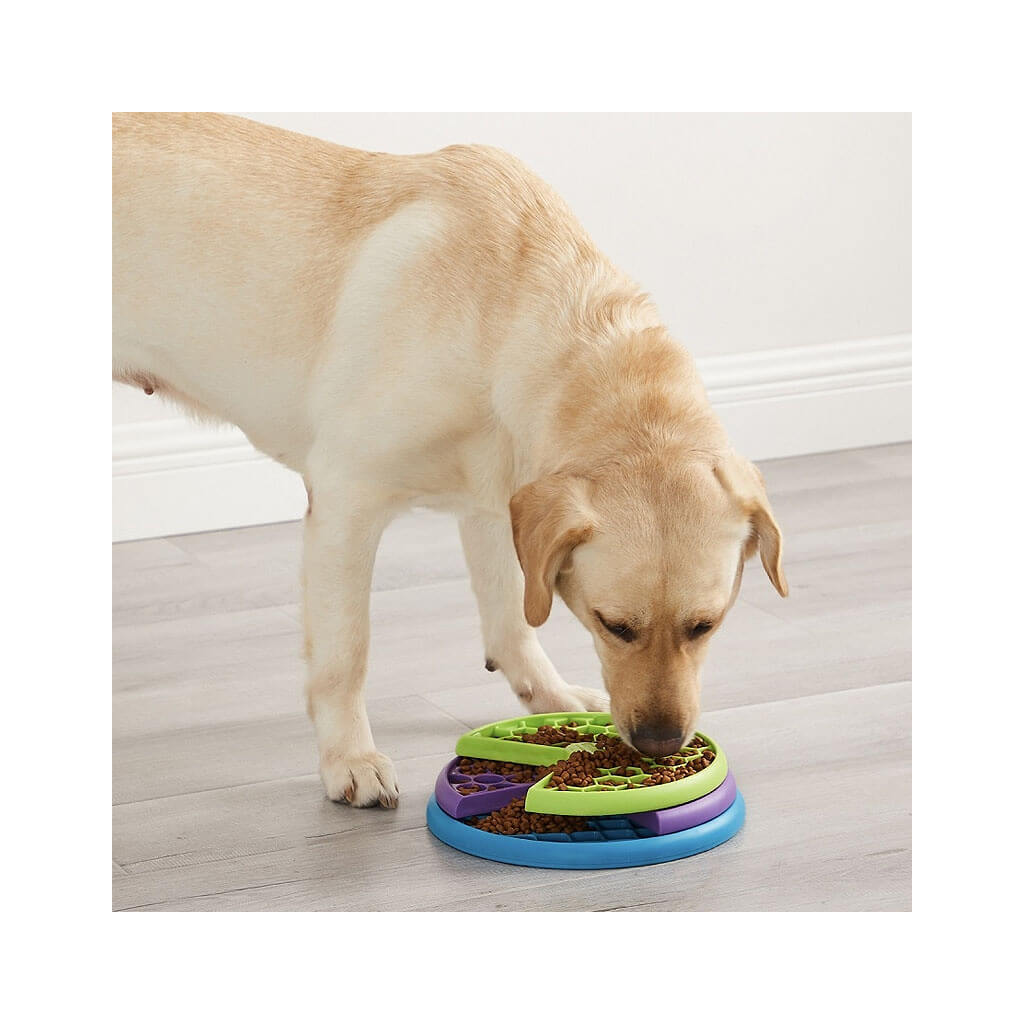 Nina Ottosson Lickin' Layers Inelligenzspielzeug LEVEL 2, 23,50