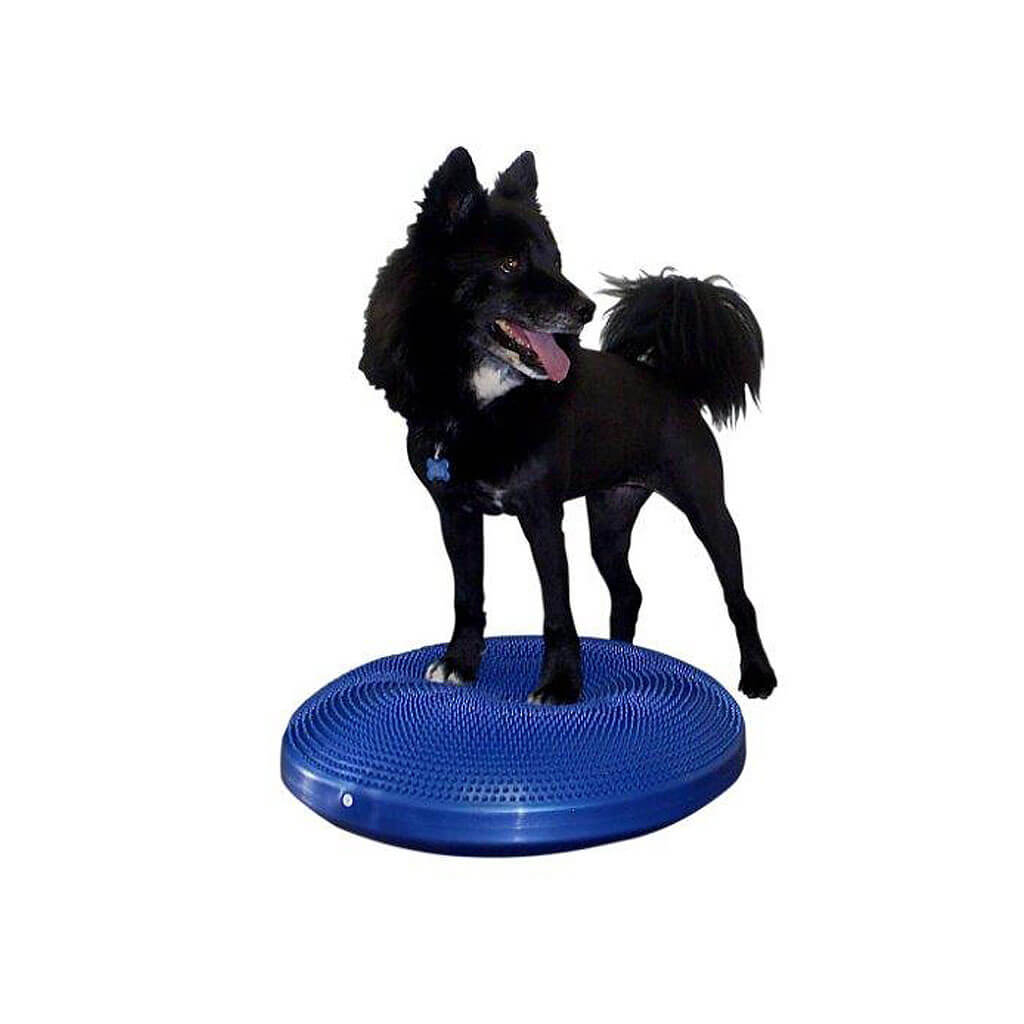 FitPAWS K9 Fitbone Balance Disc Scheibe in Himbeerrot | NEU, 39,22