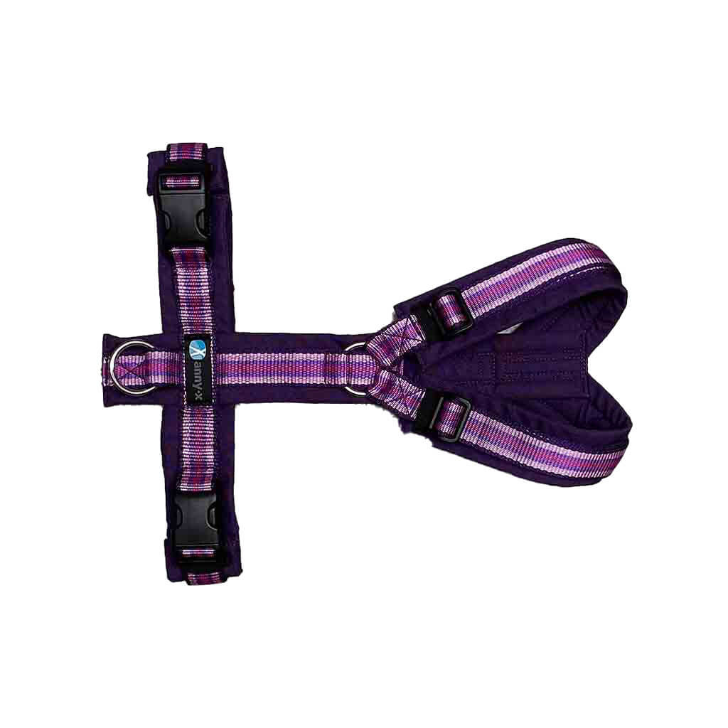 AnnyX Brustgeschirr Hundegeschirr Fun in Wildflieder |PITUPITA - PITU, 48,00