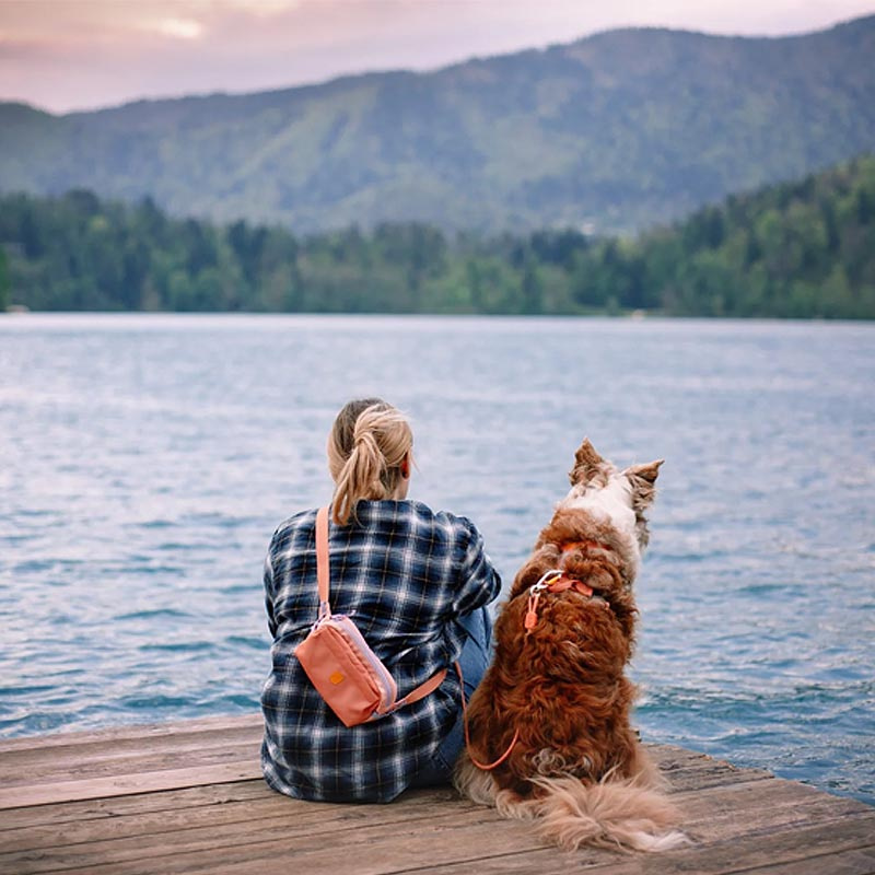 Woolly Wolf Alpha 360 Hip Bag Hüfttasche | NEU bei PITUPITA, 49,90